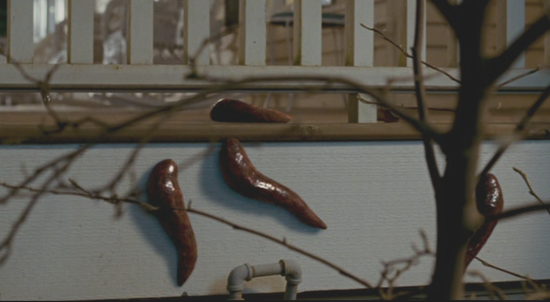 Alien Infection Slug Display | The Prop Tank